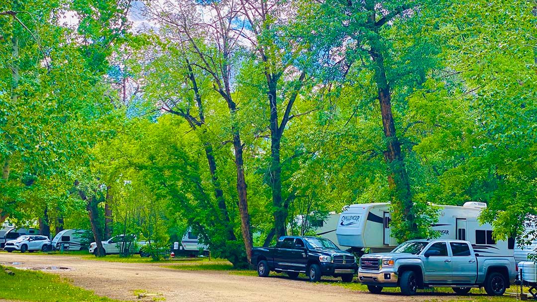 RV Camping in Drumheller | River Grove Campground & Cabins